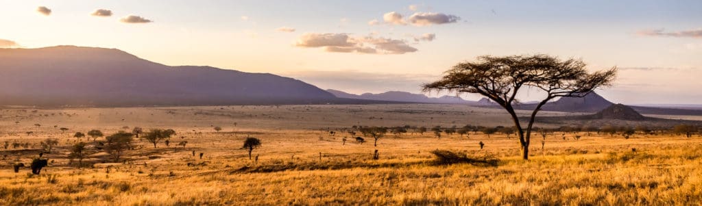 Entitlement to loss and expense under the JCT and SBCC standard forms – notify or else! | Beale & Co