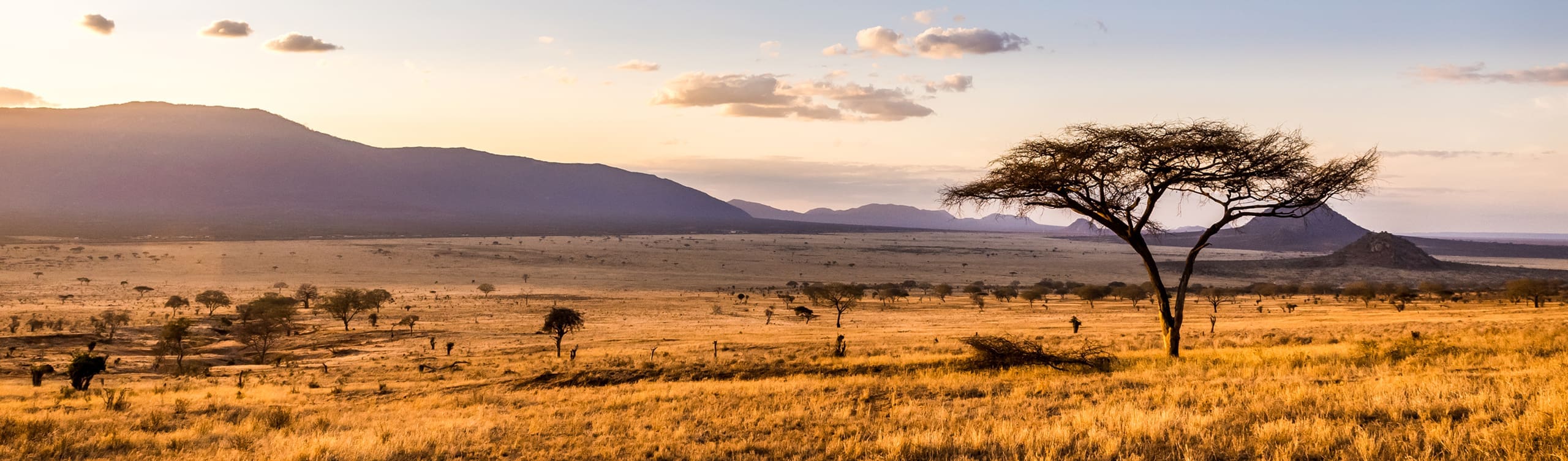 RIBA publishes 2024 Building Regulations Principal Designer ...